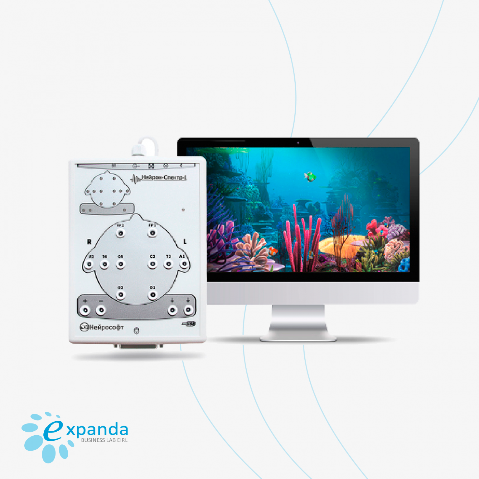 Neuron Spectrum 1BFB